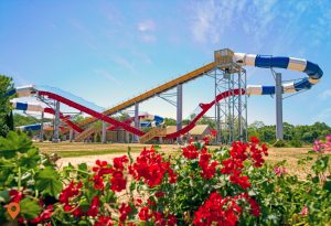 Splish Splash - New York's Best Experiences